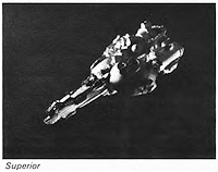 Classic Starship Miniatures - Ares 05